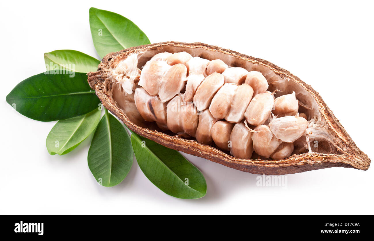 Cocoa pod on a white background Stock Photo - Alamy