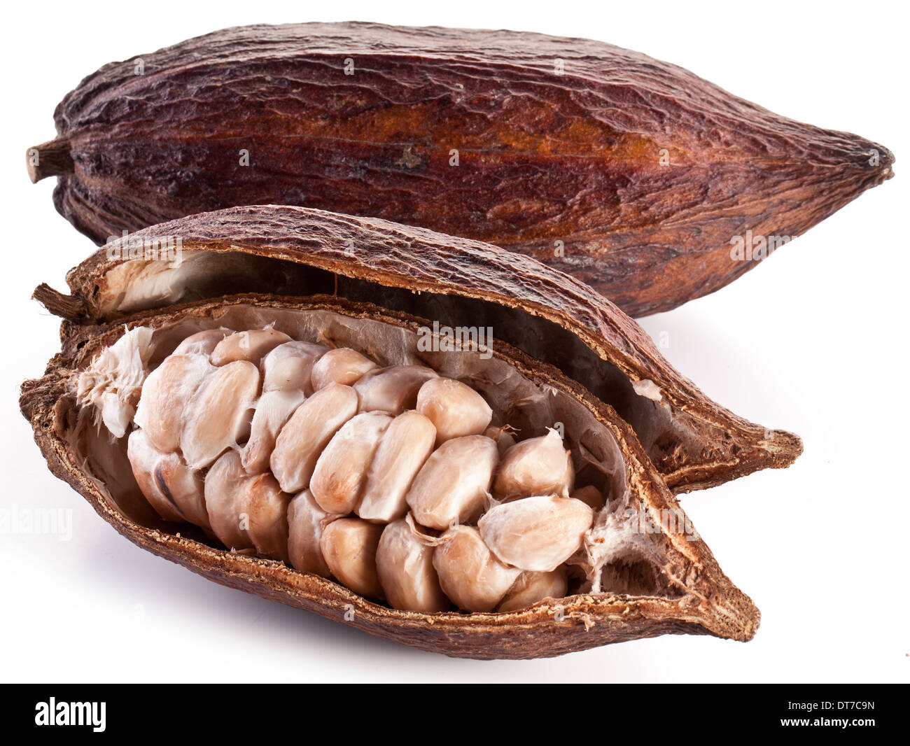 Cocoa pods on a white background Stock Photo - Alamy