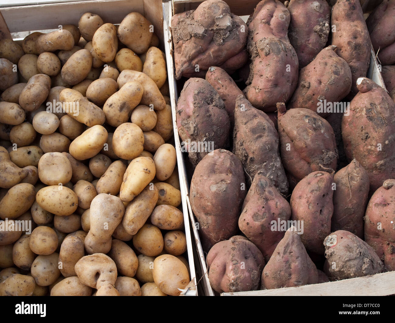 Potato boxes hi-res stock photography and images - Alamy