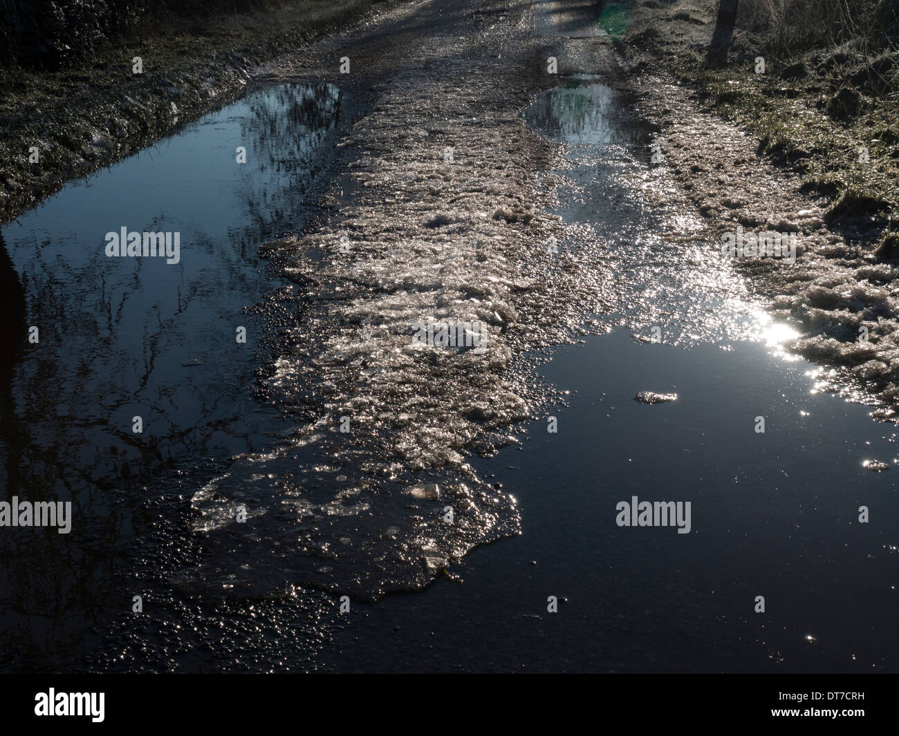Puddle water hi-res stock photography and images - Alamy