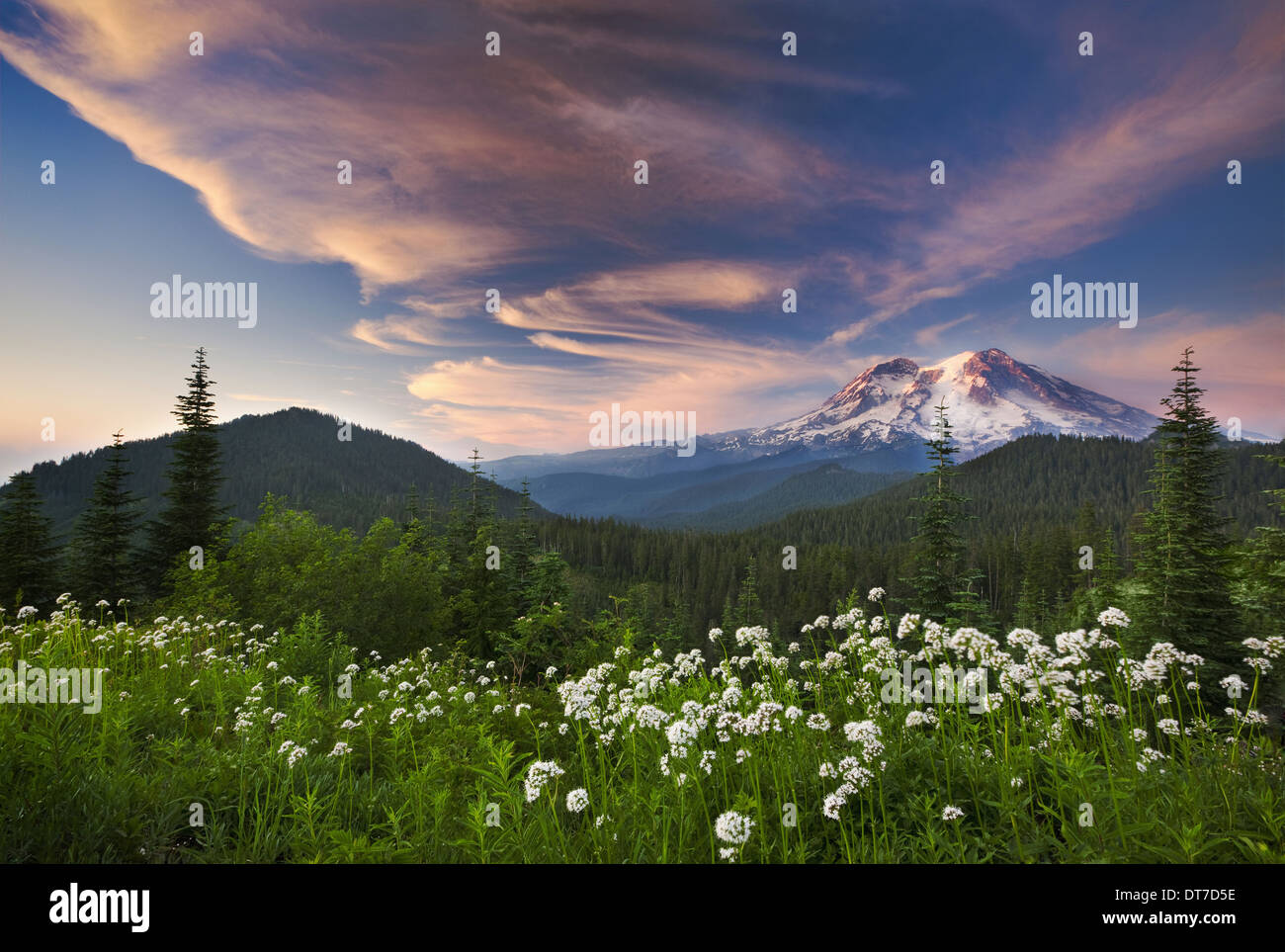 snow capped peak surrounded by forest reflected in the lake surface ...