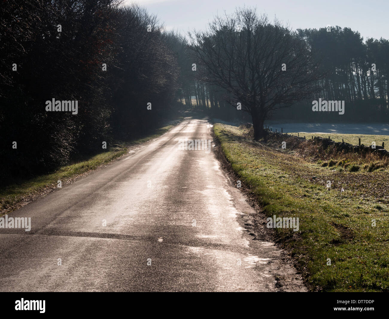 Country lane with trees hi-res stock photography and images - Alamy