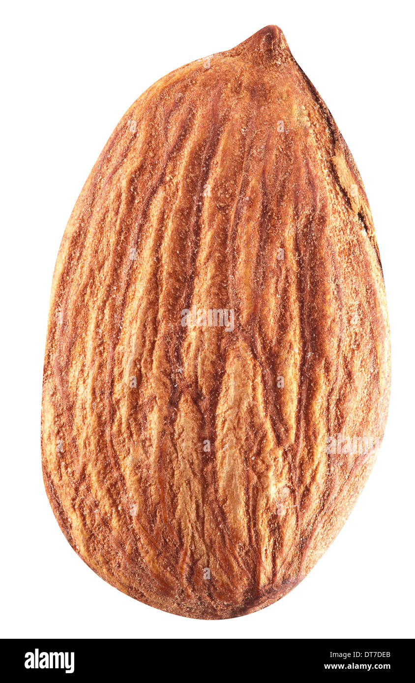 Almond isolated on white background. Image with maximum sharpness ...