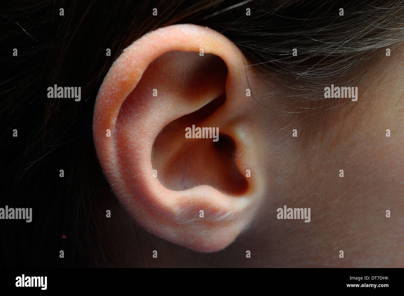 Listen to body part hi-res stock photography and images - Alamy