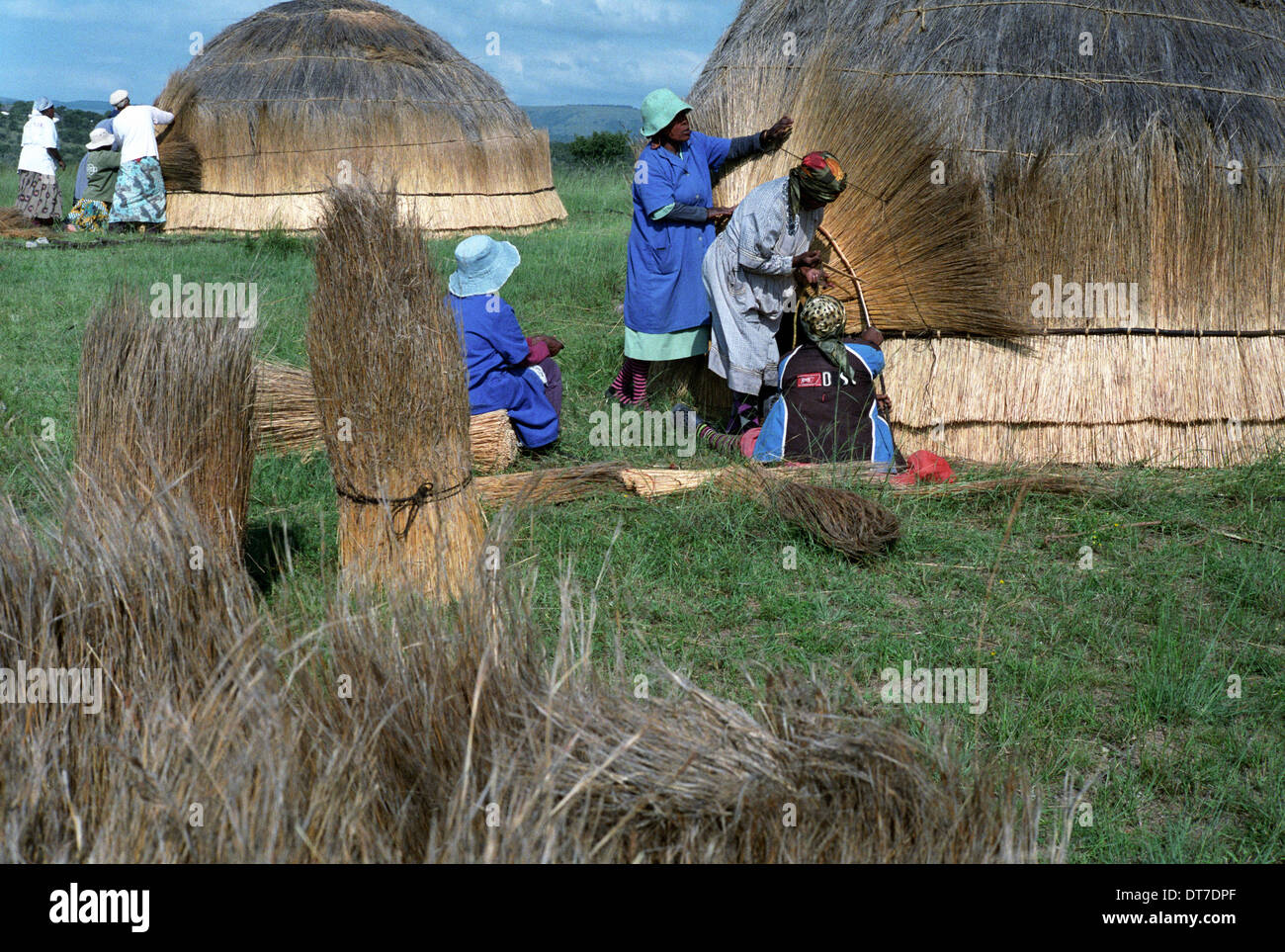 woman repair traditional zulu grass huts in the ulundi region of ...