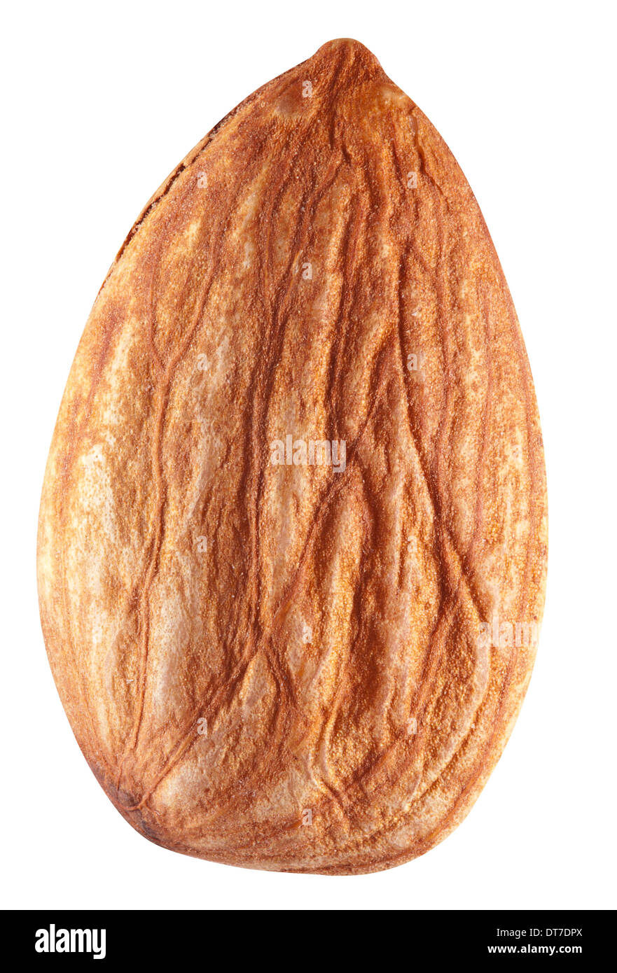 Almond isolated on white background. Image with maximum sharpness ...