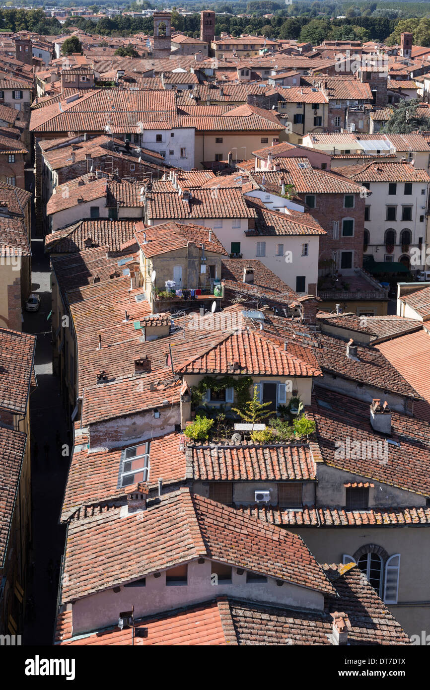 View from the The Torre Guinigi, famous tower with its own hanging ...