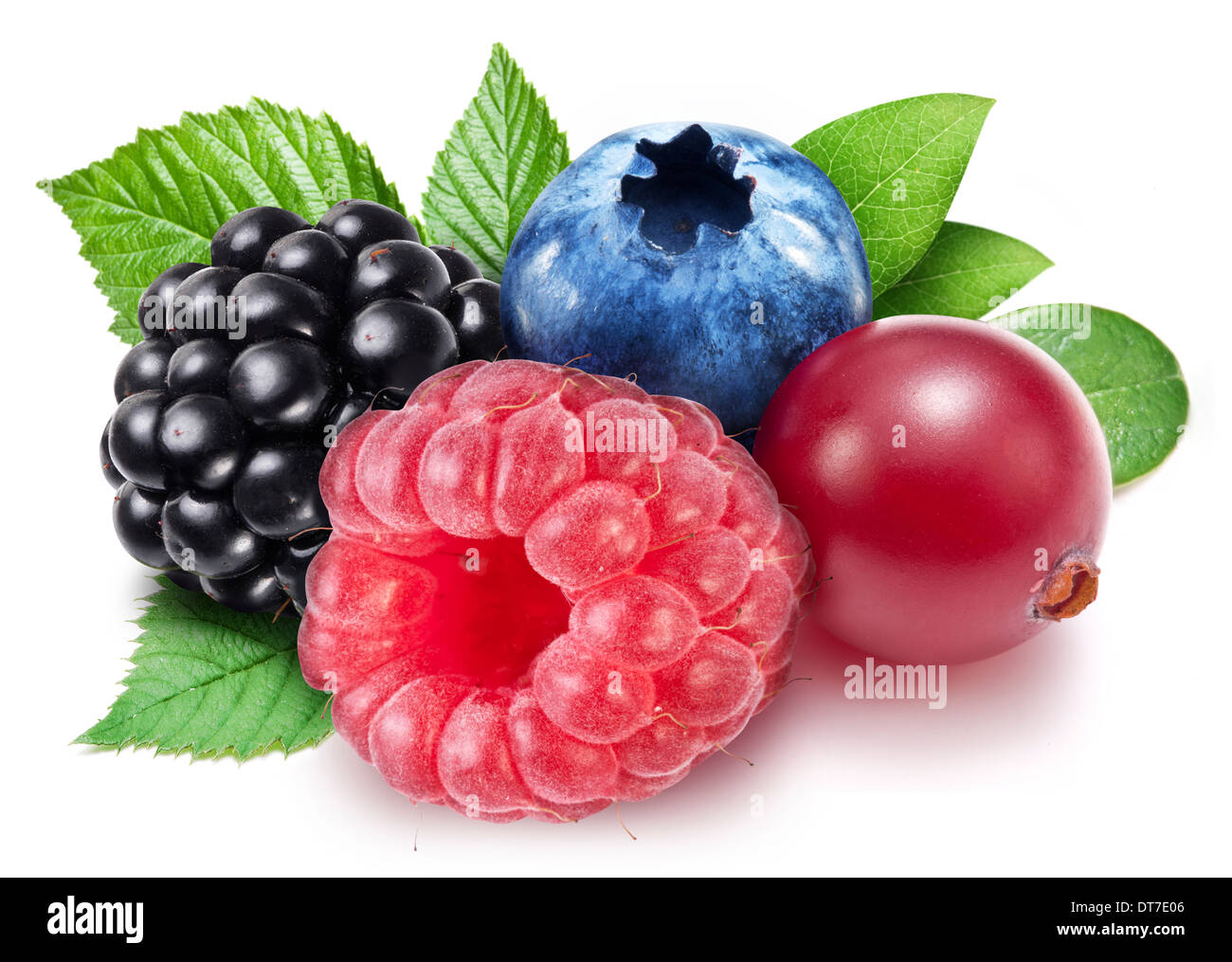 Collection of wild berries on a white background Stock Photo - Alamy