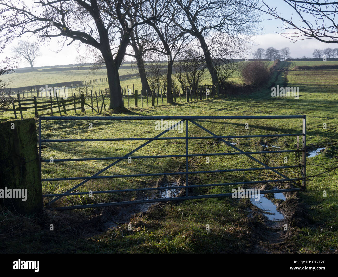 Field and country gate hi-res stock photography and images - Alamy