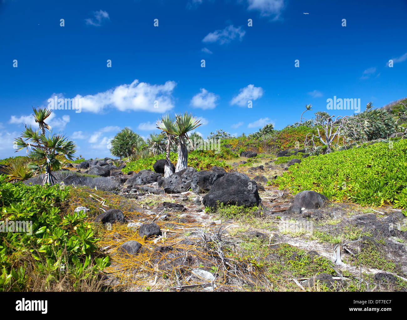 Mauritius. Stony landscape of the island Stock Photo - Alamy