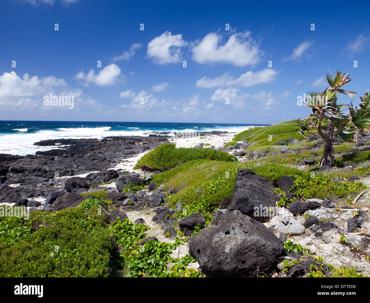 Mauritius. Stony landscape of the island Stock Photo - Alamy