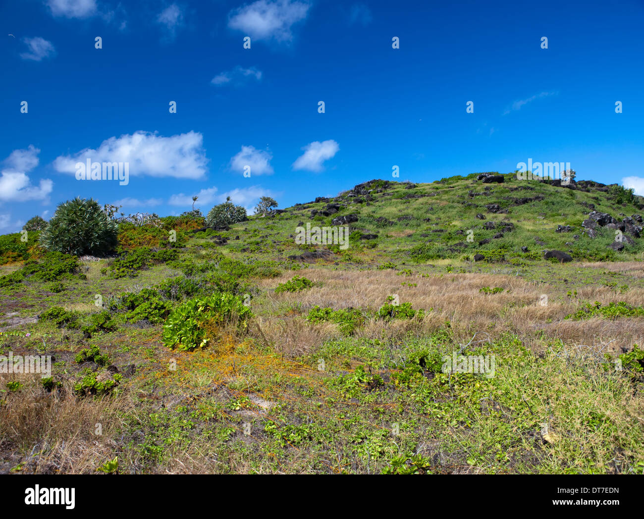 Mauritius. Stony landscape of the island Stock Photo - Alamy