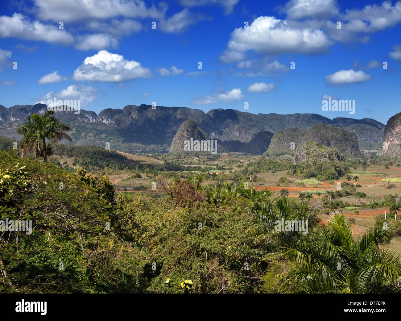 Cuba. Tropical nature of Vinales Valley Stock Photo - Alamy