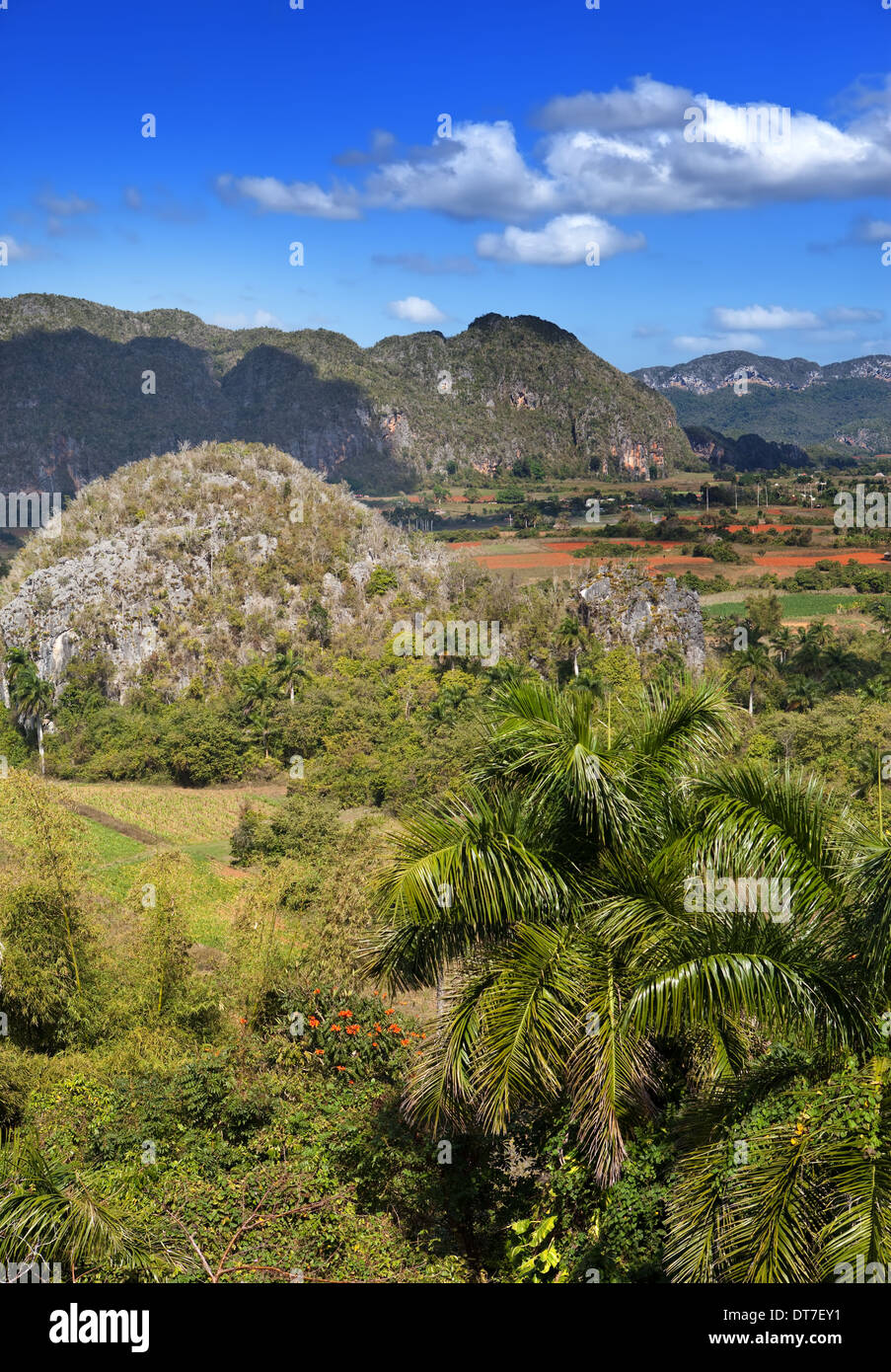 Cuba. Tropical nature of Vinales Valley Stock Photo - Alamy