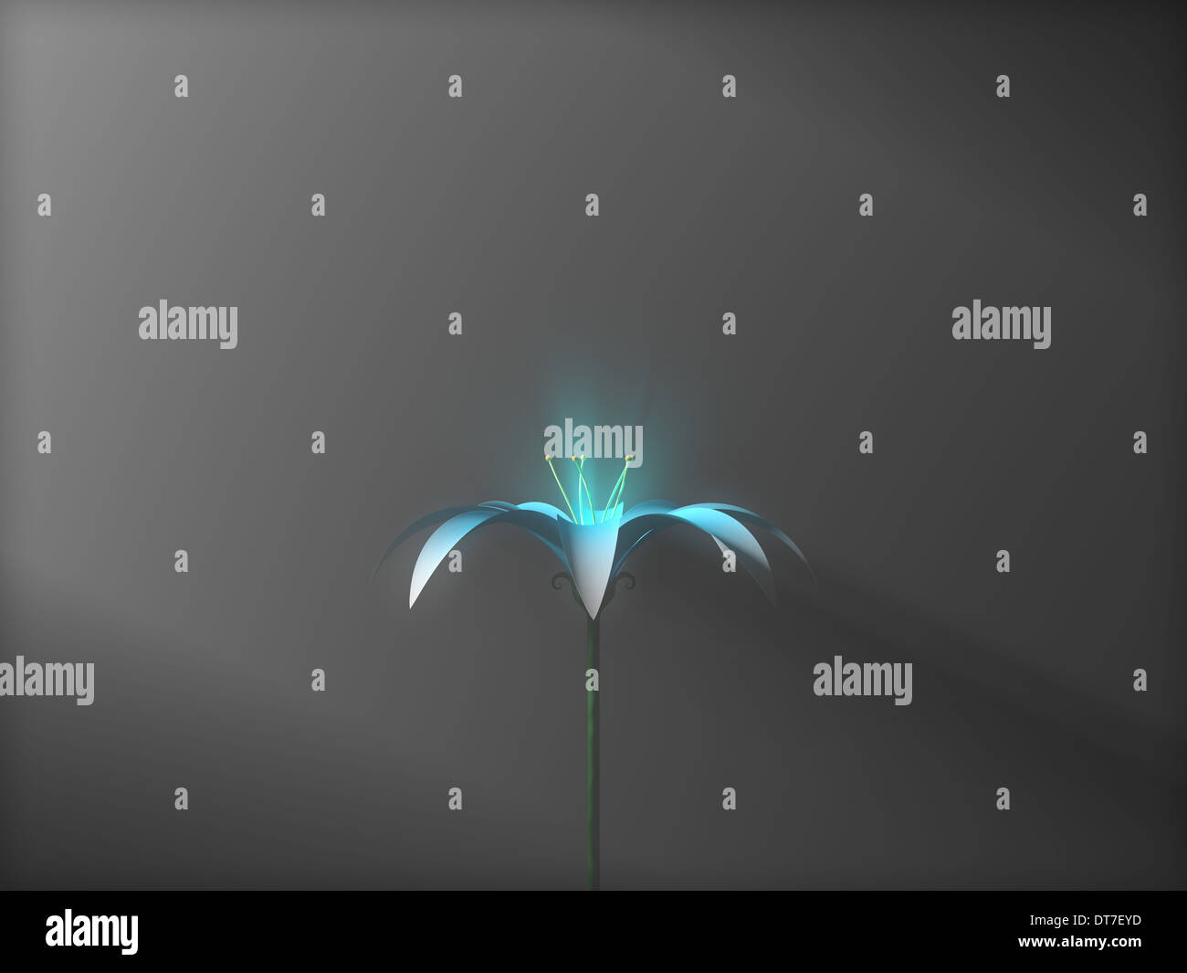 ed flower concept Stock Photo - Alamy