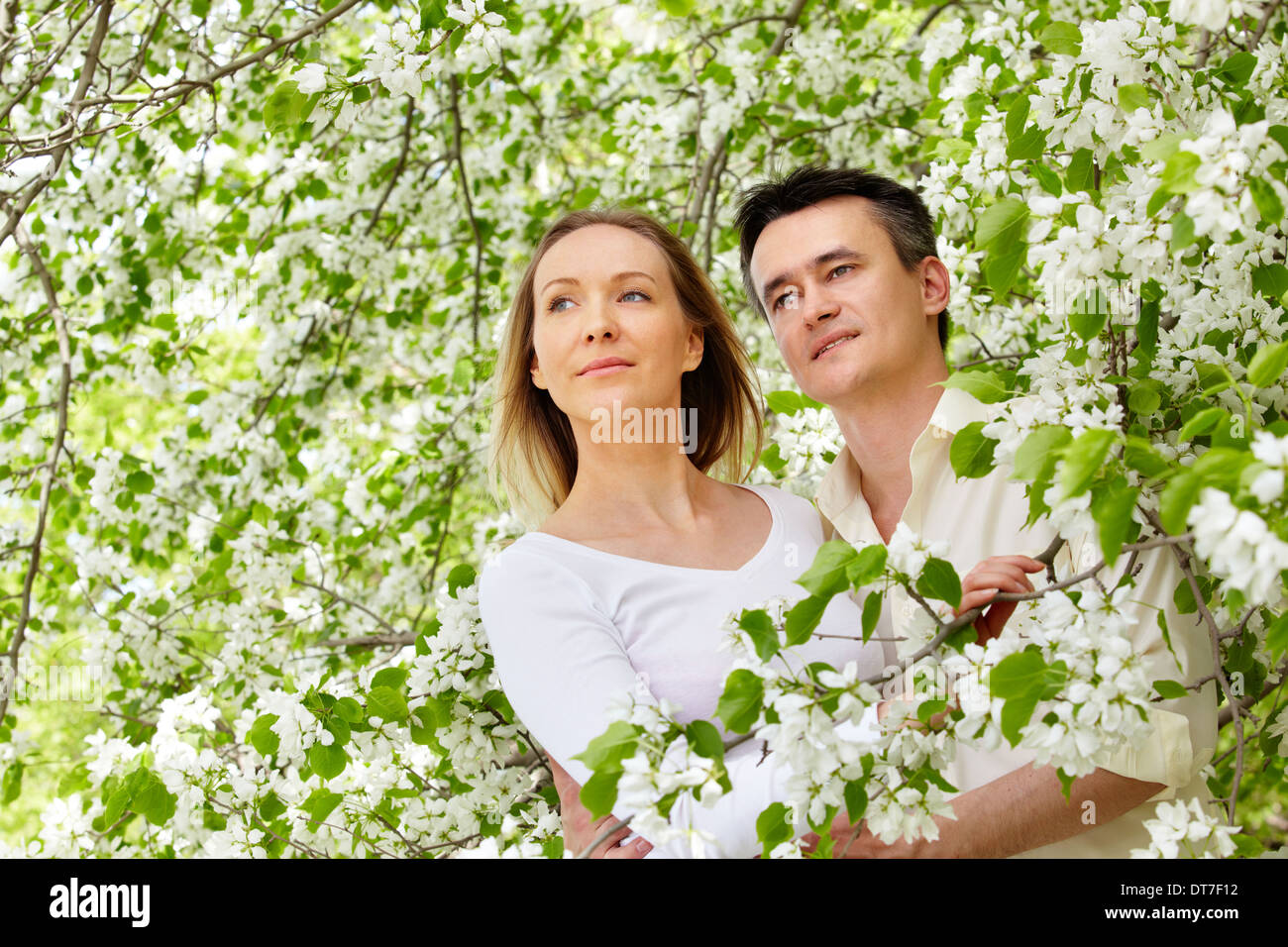 Portrait of young amorous couple among apple trees in bloom Stock Photo ...