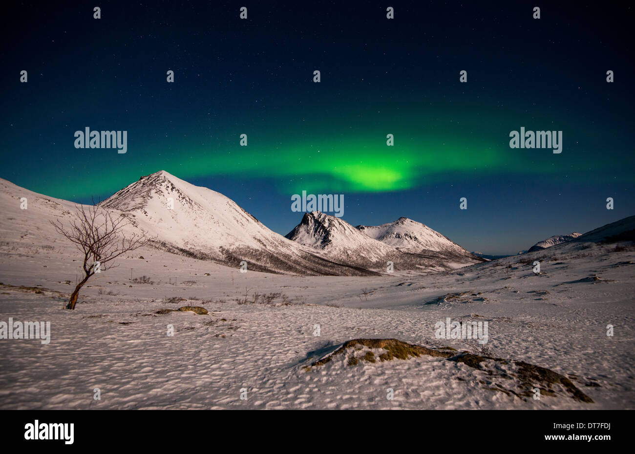 Tromvik hi-res stock photography and images - Alamy