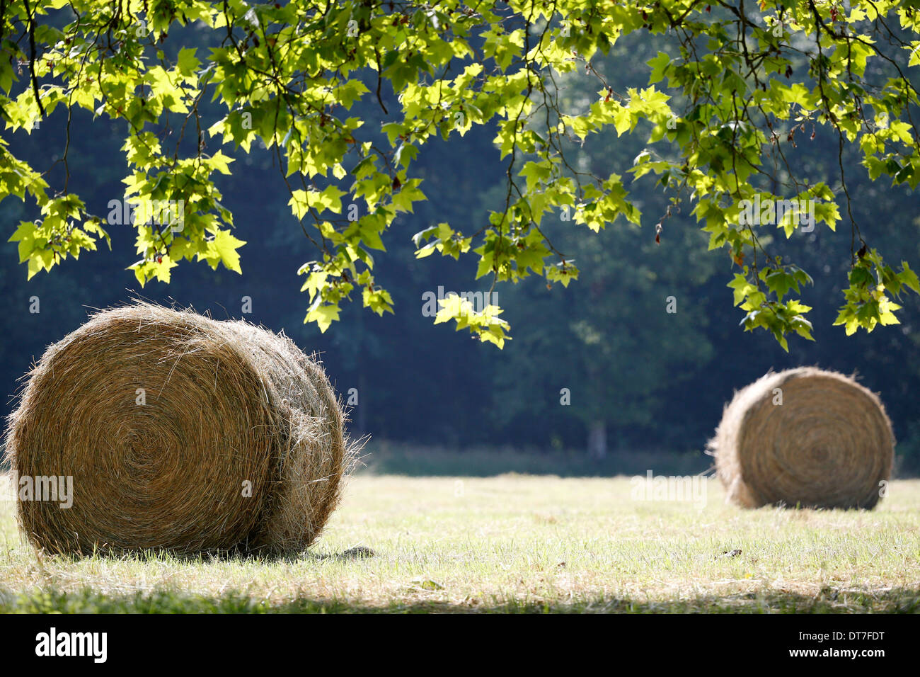 Straw haystacks hi-res stock photography and images - Alamy