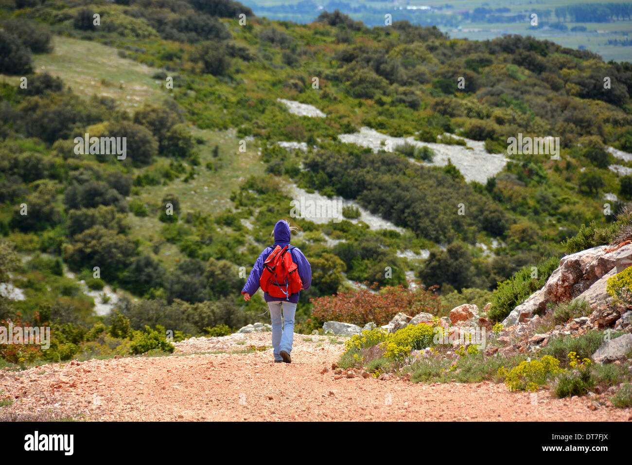 Pilgrim walking on Saint James's way Stock Photo - Alamy