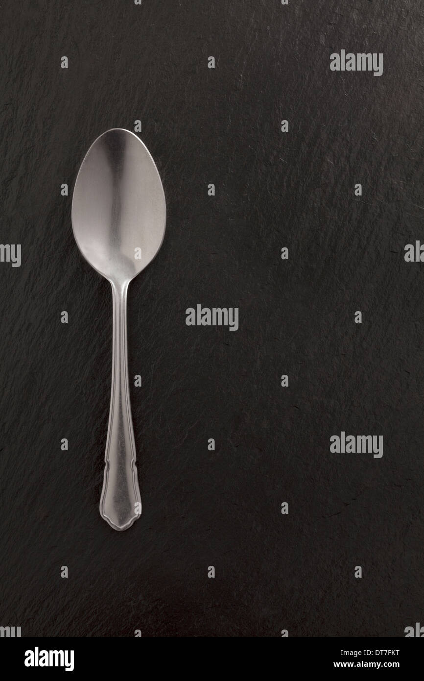 Seafood Serving Spoon