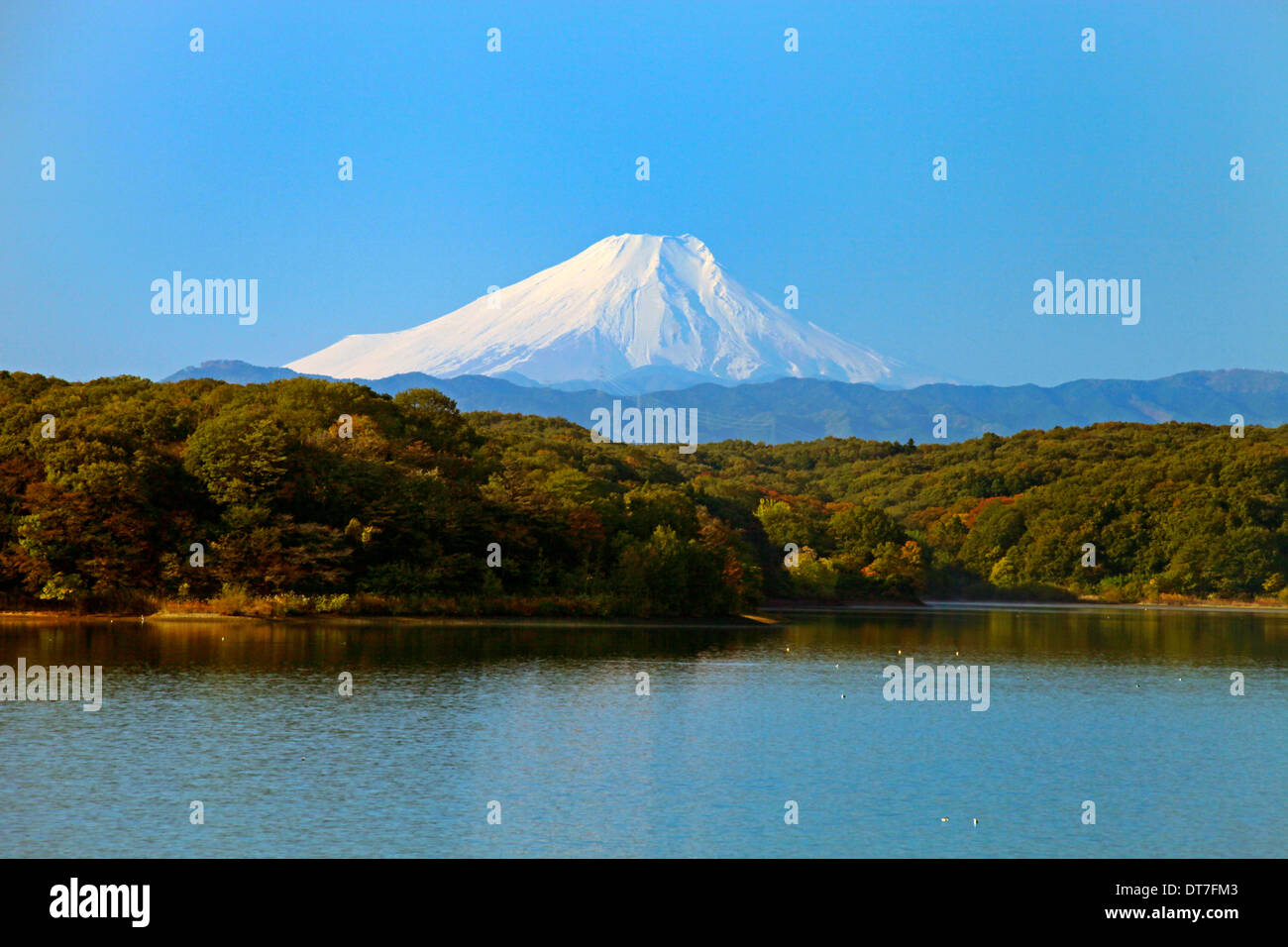 Sayama lake hi-res stock photography and images - Alamy