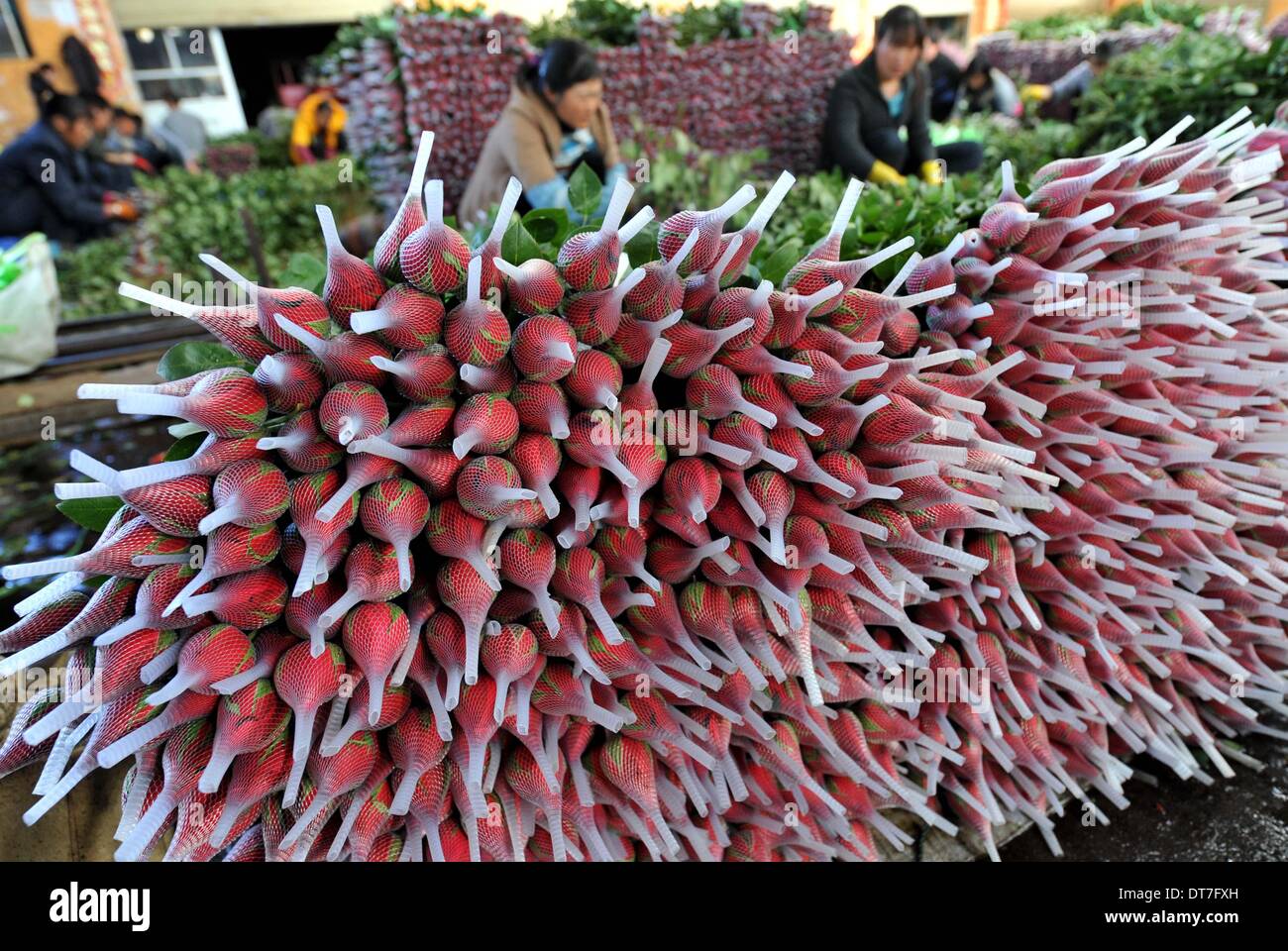 Kunming, China's Yunnan Province. 11th Feb, 2014. Roses are stacked at ...