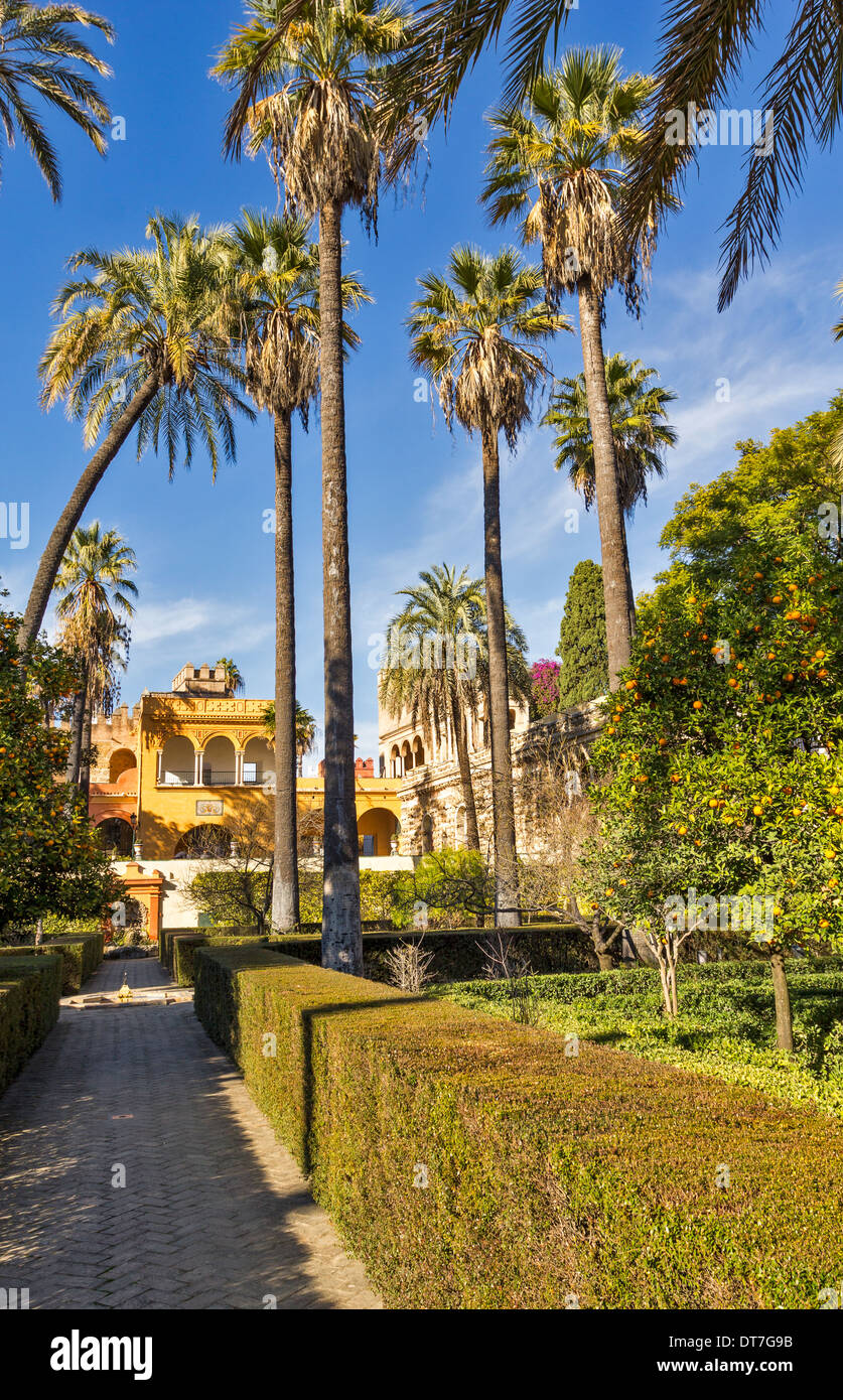 Seville oranges hi-res stock photography and images - Alamy