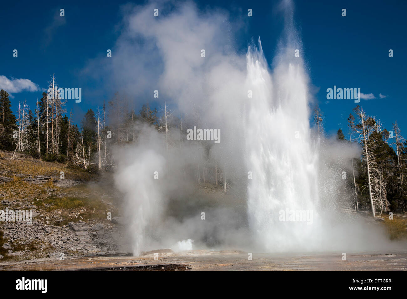 Vent turban grand geyser hi-res stock photography and images - Alamy