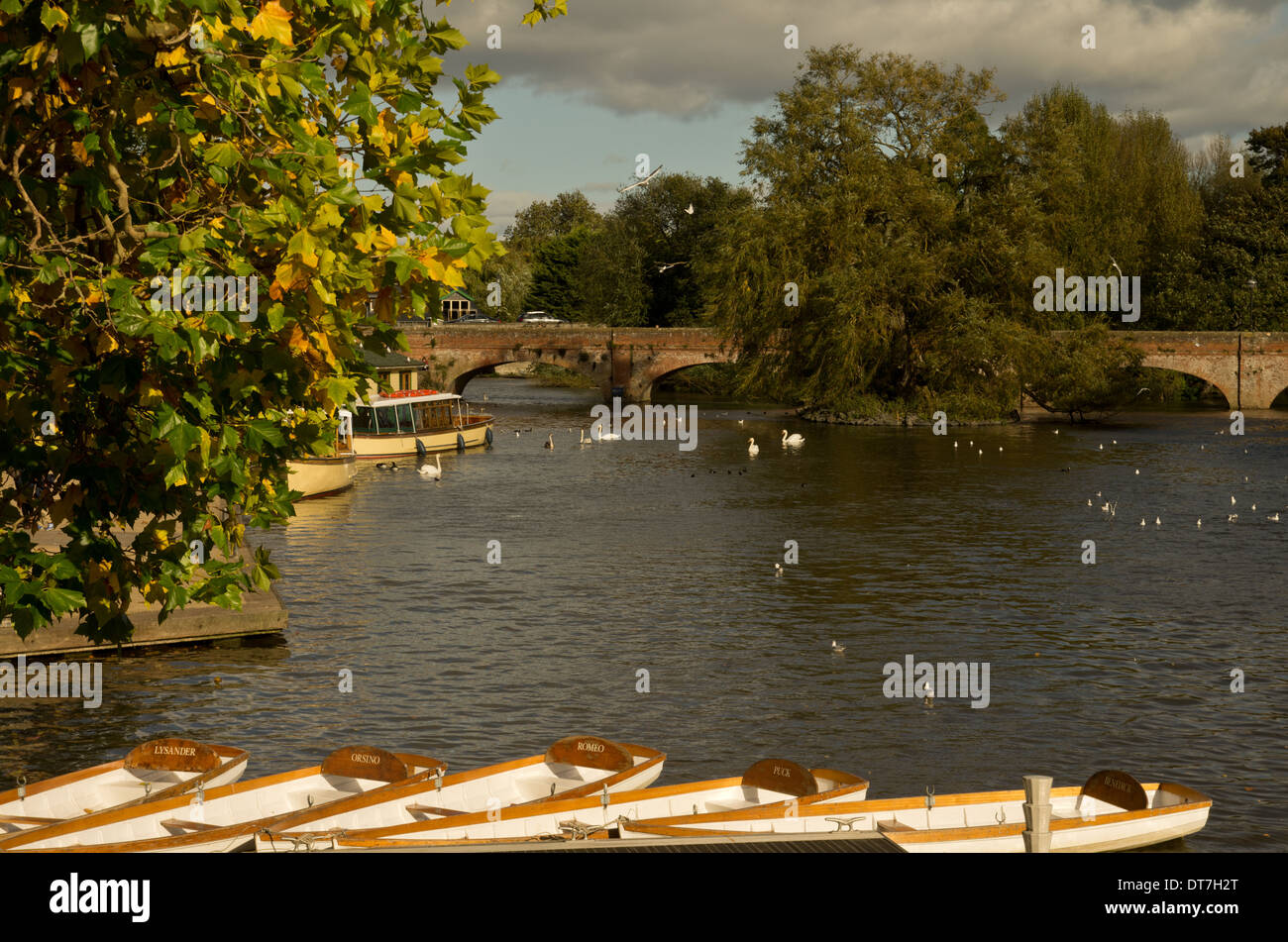 Rowing boats hi-res stock photography and images - Alamy