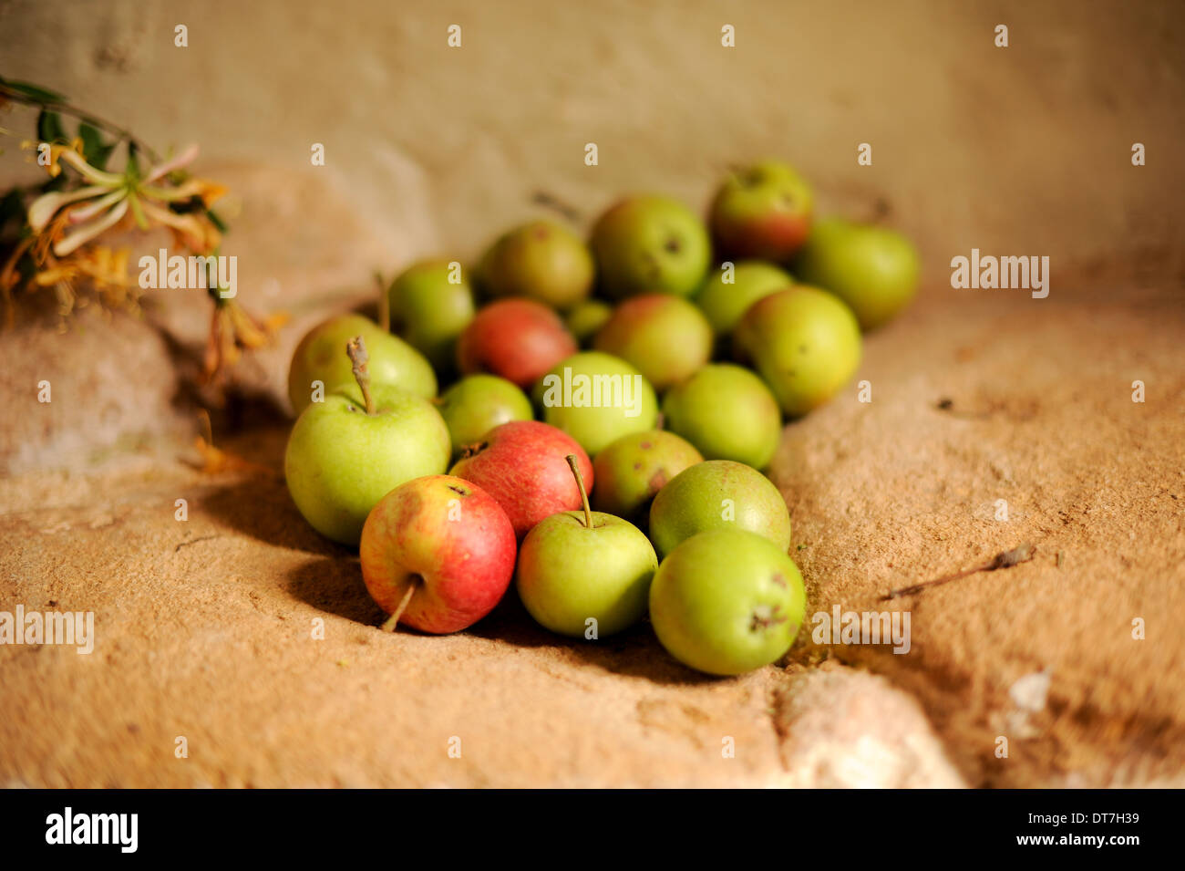 Apples of different sizes and shapes hi-res stock photography and ...