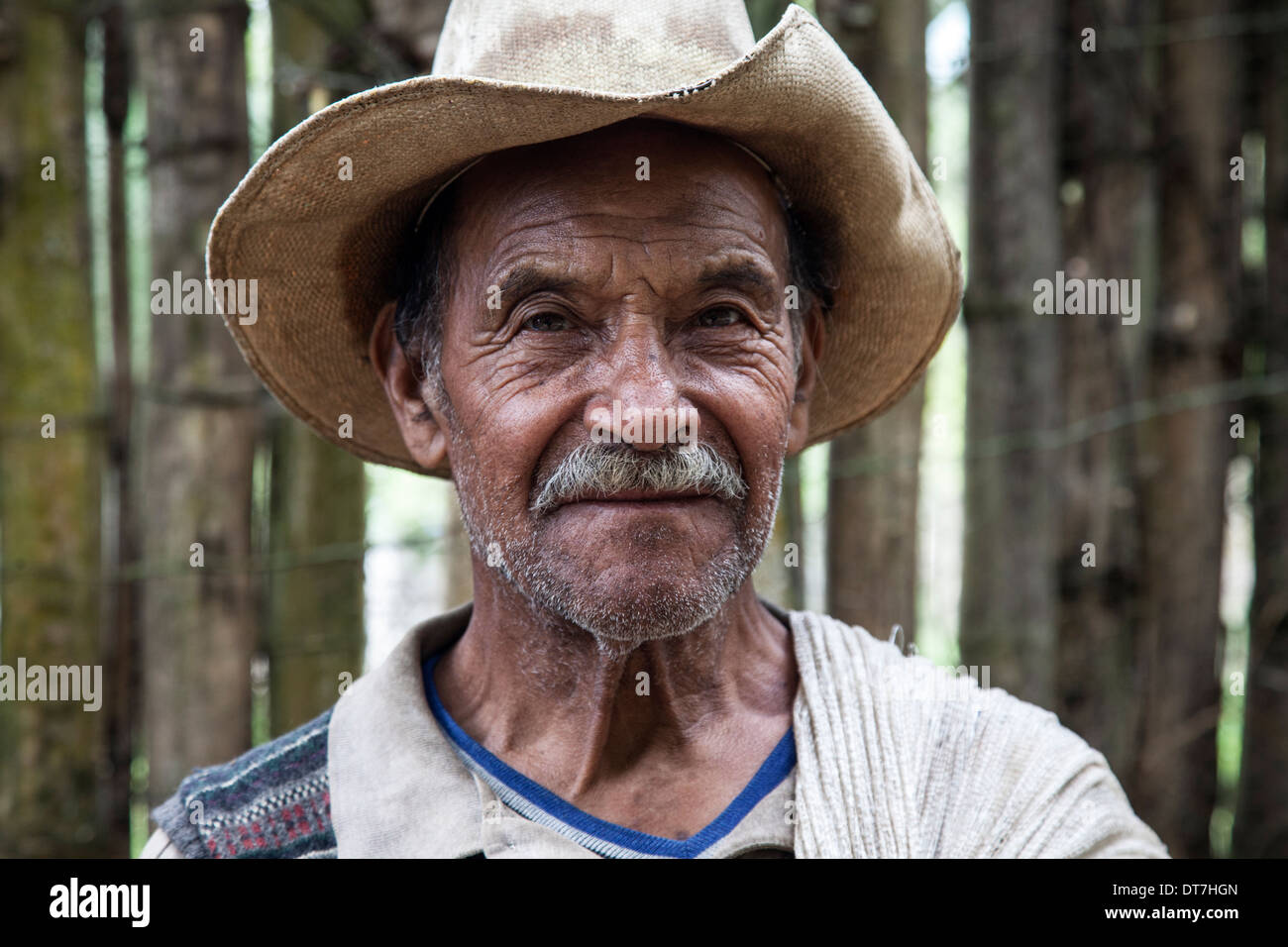 Worker to peasant hi-res stock photography and images - Alamy