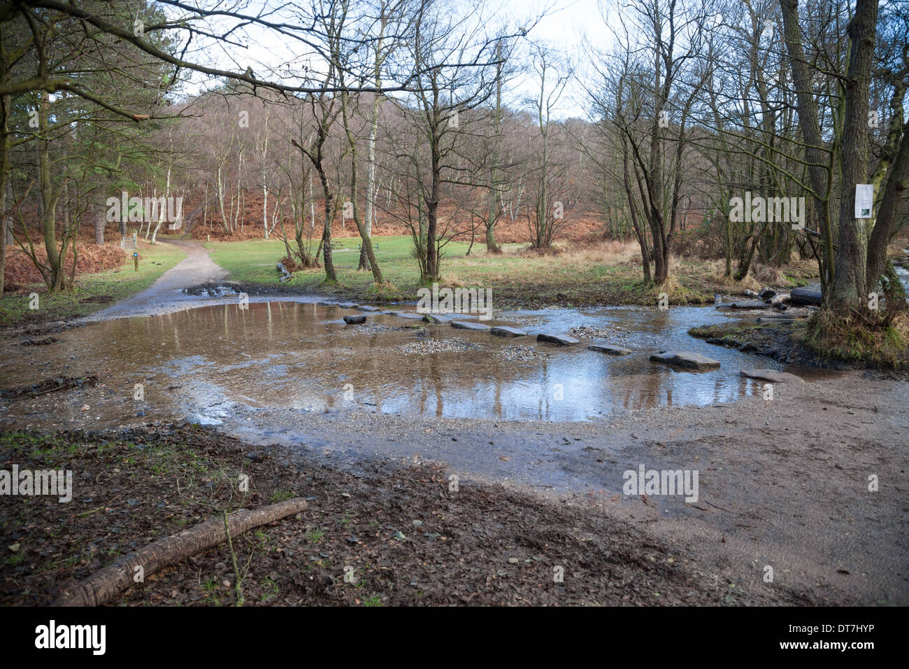 The stepping stones at Sherbrook Valley Cannock Chase Area Of ...