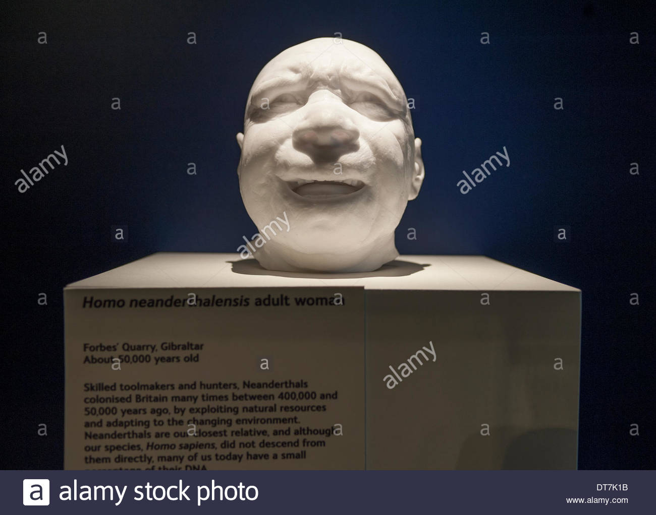 Chris Stringer Stock Photos & Chris Stringer Stock Images - Alamy