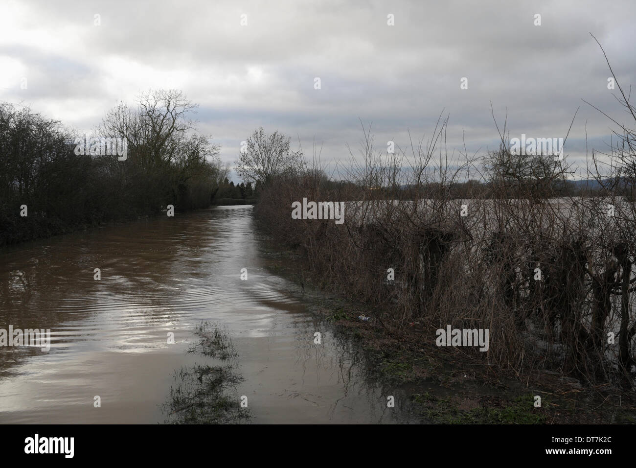 Ryall hi-res stock photography and images - Alamy