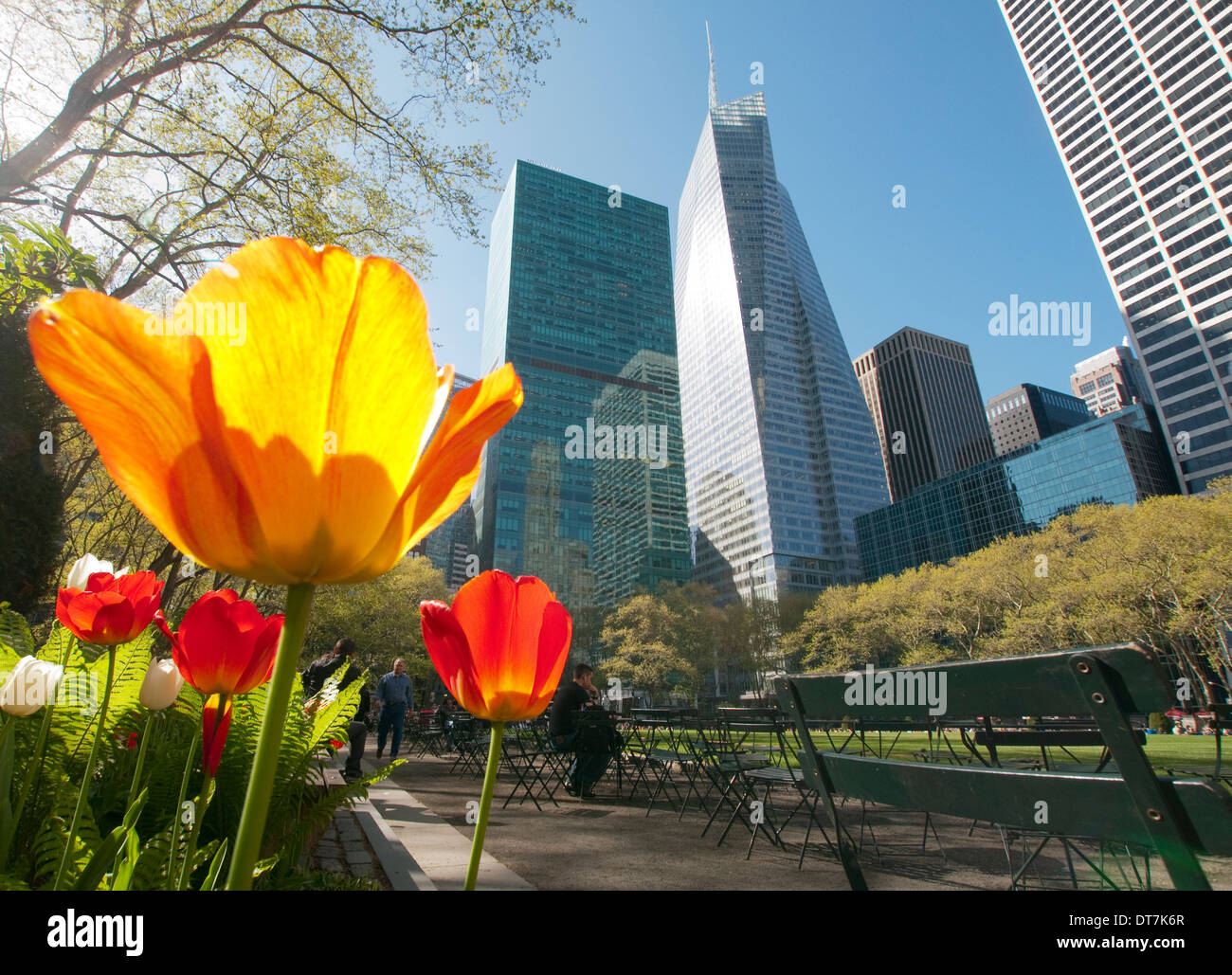 Spring tulips in Bryant Park, Midtown Manhattan New York USA Stock ...