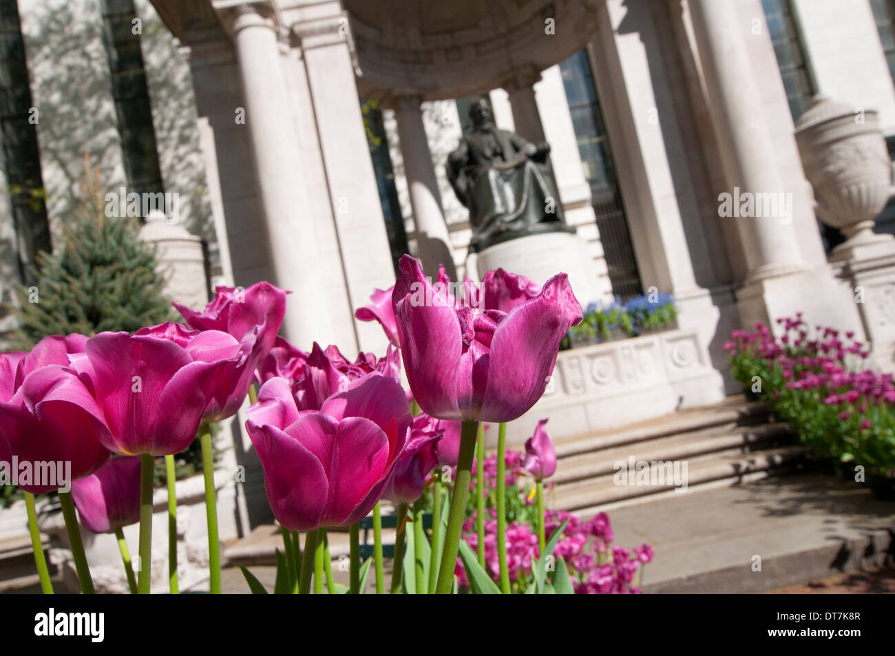 Spring tulips in Bryant Park, Midtown Manhattan New York USA Stock ...