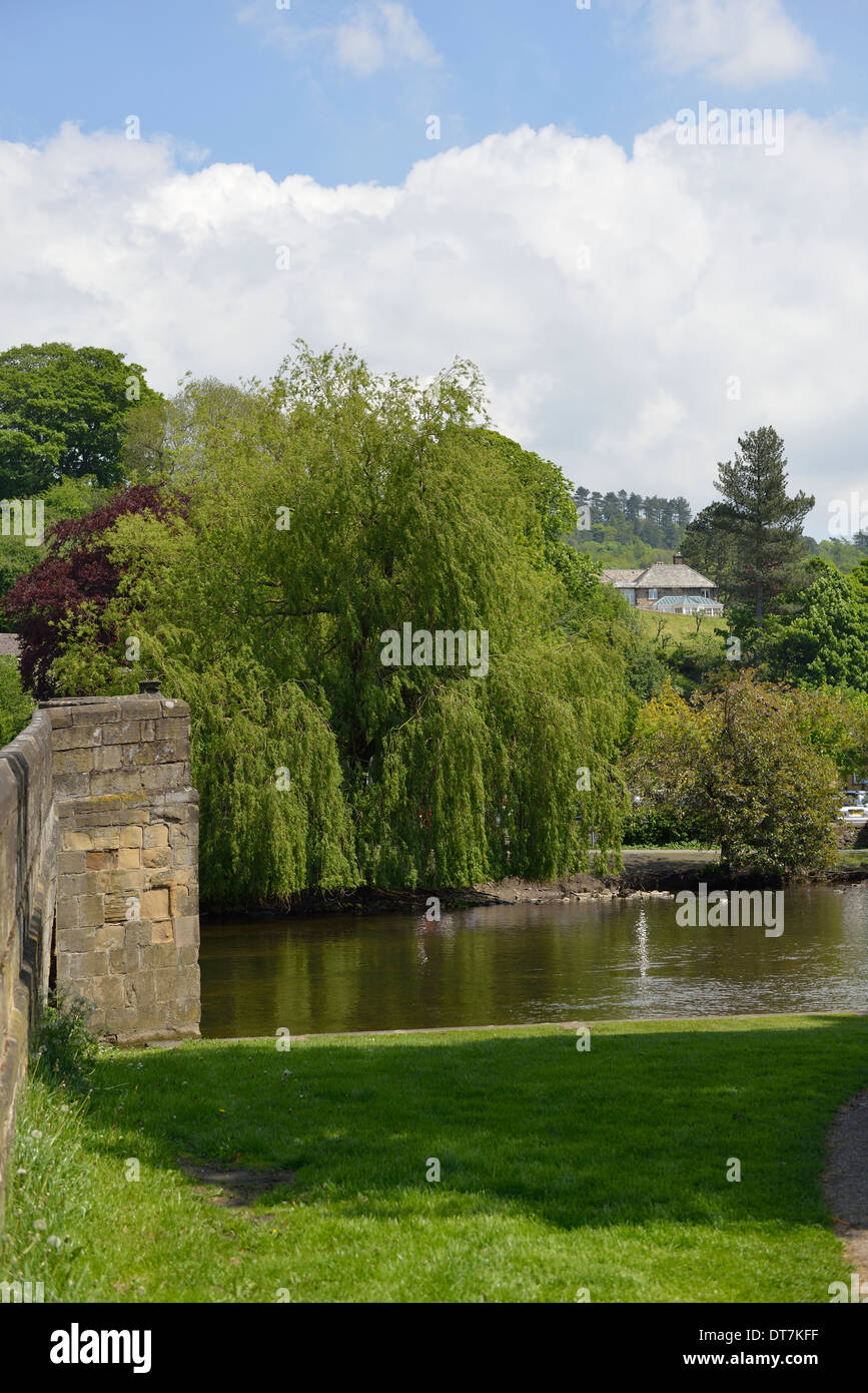 Slow flowing river Stock Photo - Alamy