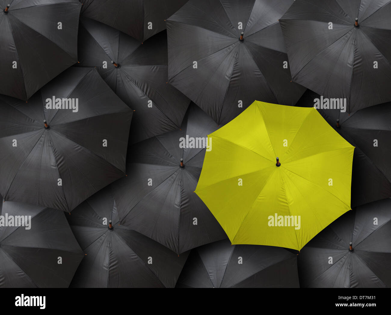 concept for leadership with many blacks and yellow umbrella Stock Photo ...