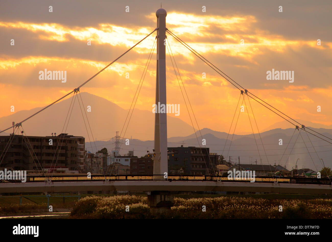 Mount Fuji and Fureai-bashi bridge at Sunset Tokyo Japan Stock Photo ...