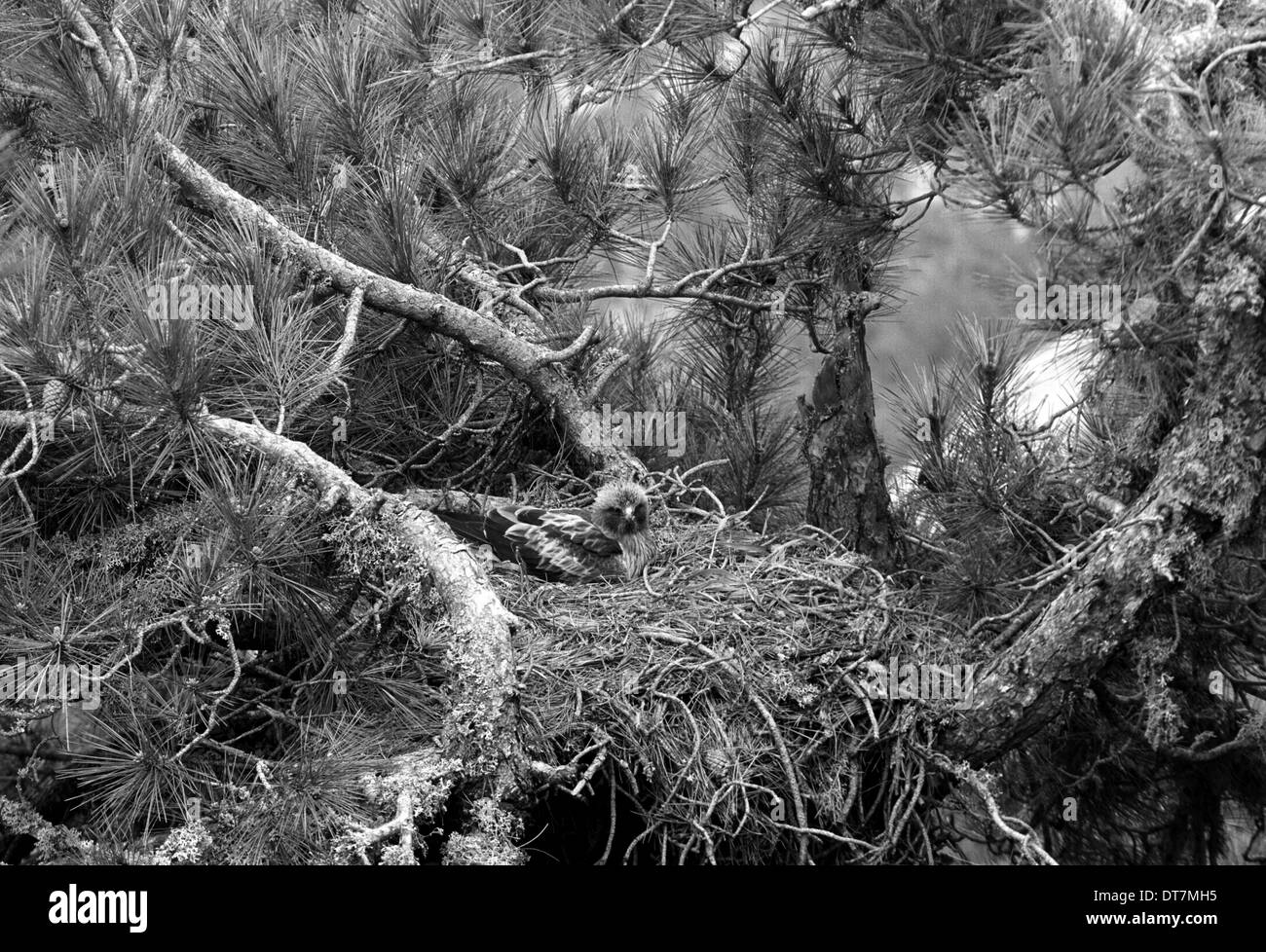 Vintage spain photo Black and White Stock Photos & Images - Alamy