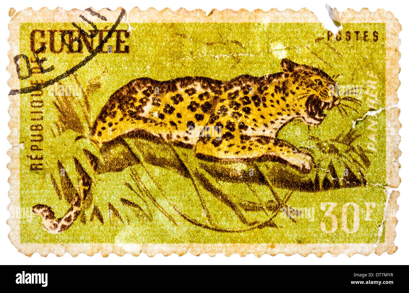GUINEA - CIRCA 1960: A stamp printed in Guinea from the "Wild Animals ...