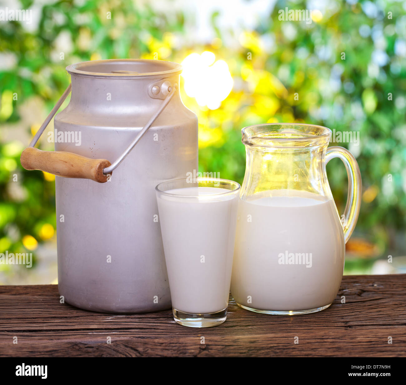 Milk in various dishes on the old wooden table in an outdoor setting ...