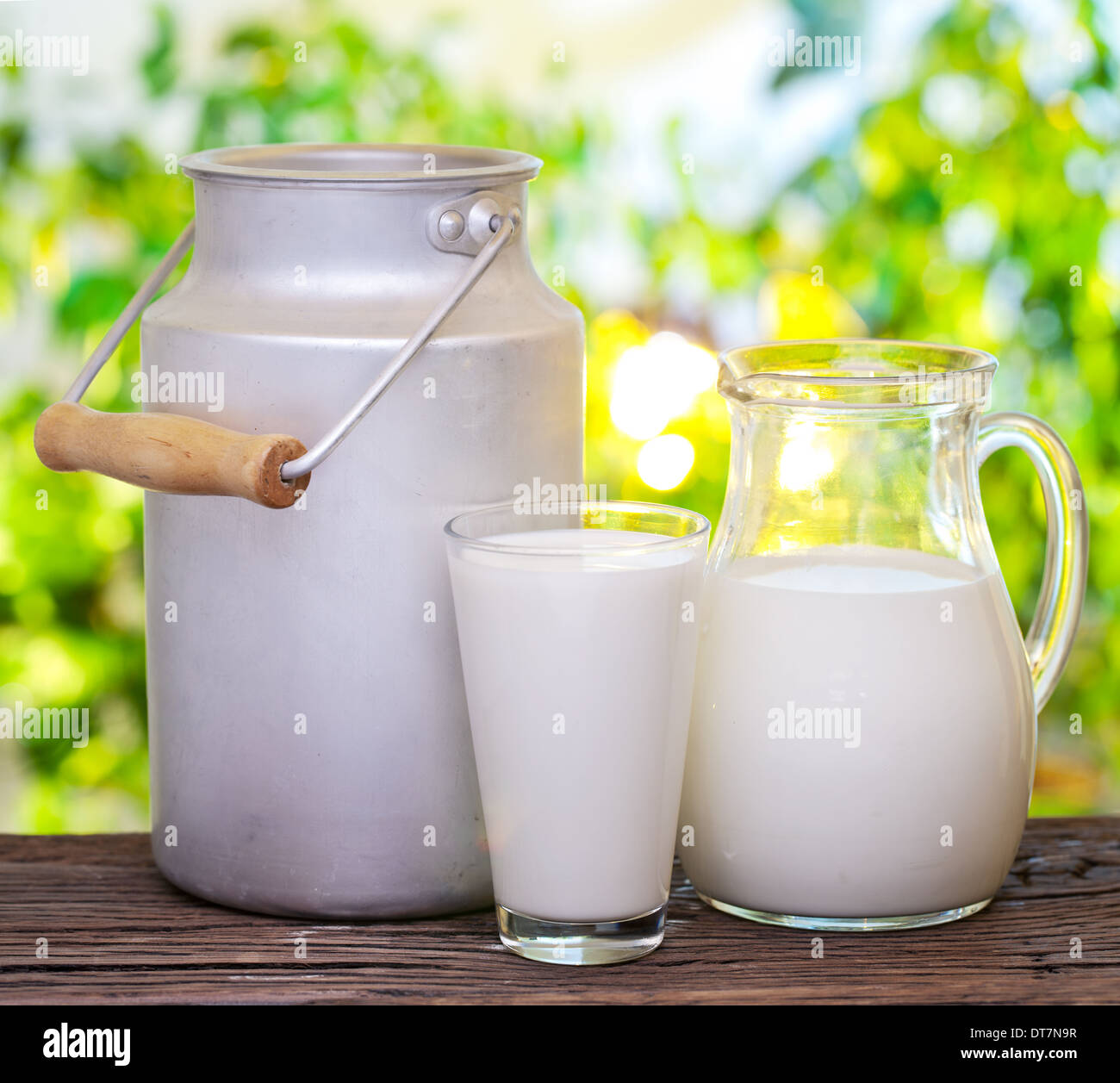 Milk in various dishes on the old wooden table in an outdoor setting ...