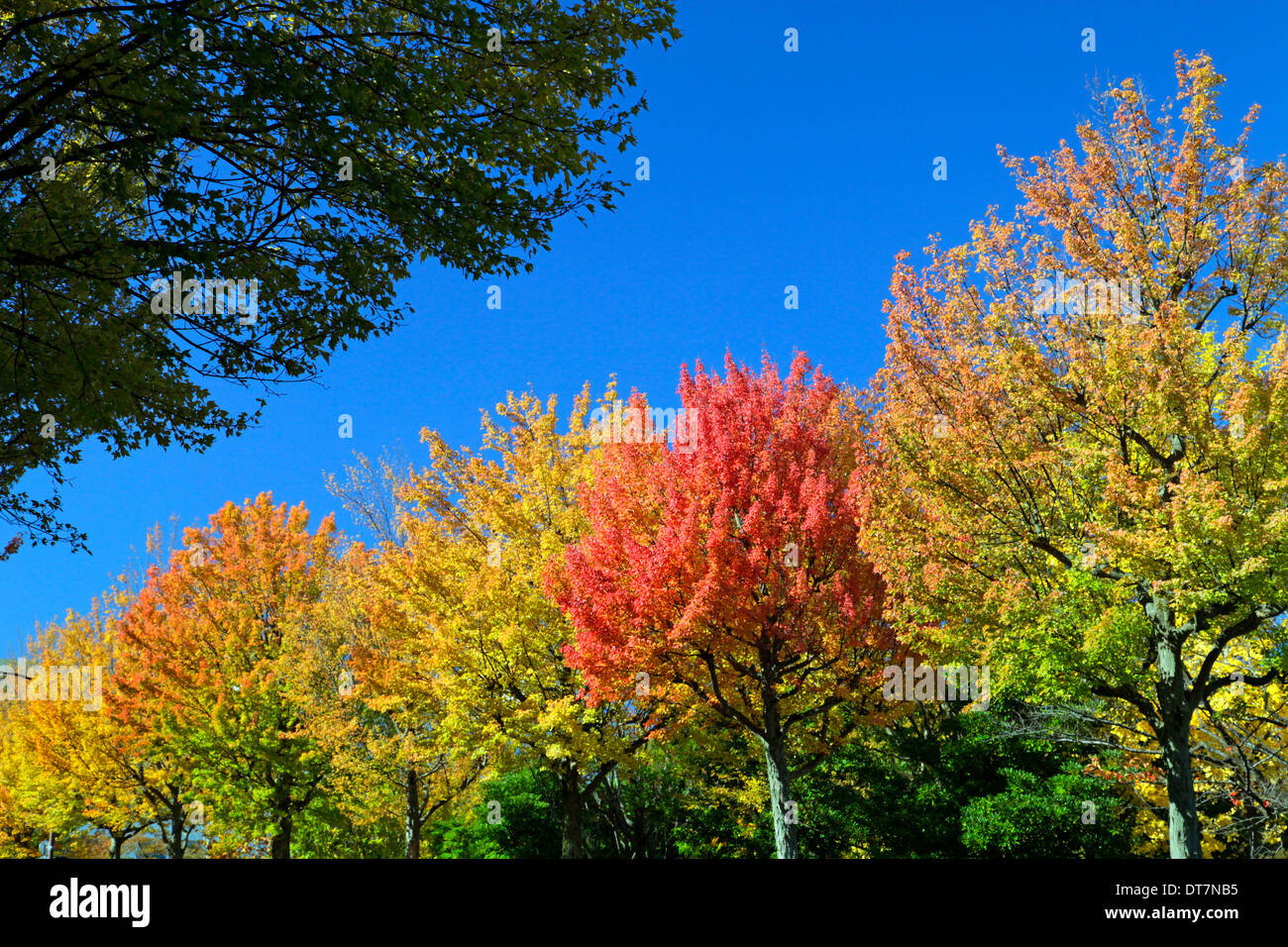 Tama residential area hi-res stock photography and images - Alamy