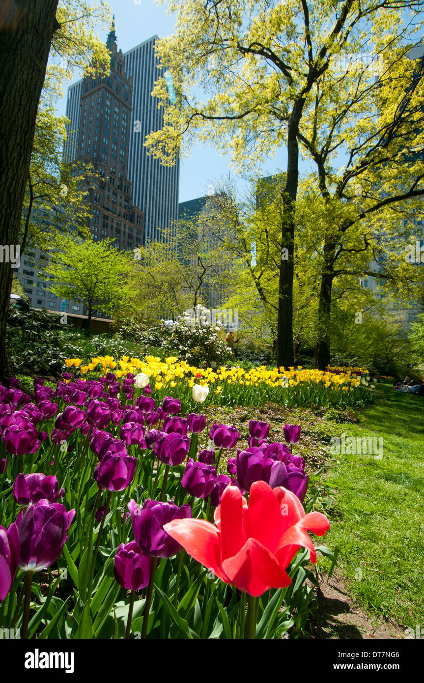 Central park spring flowers hi-res stock photography and images - Alamy