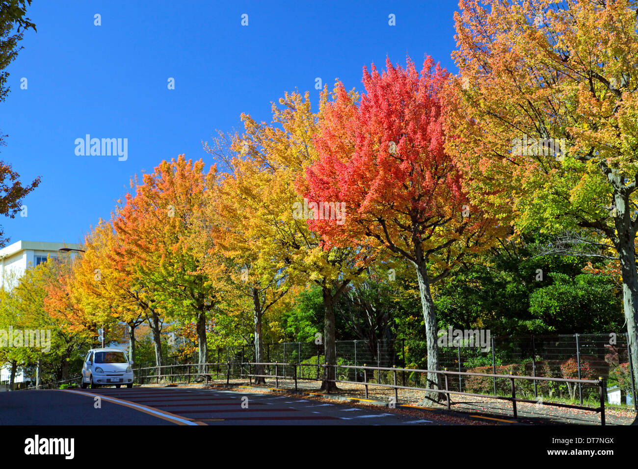 Autumn scene in Tama New Town residential area Tokyo Japan Stock Photo ...