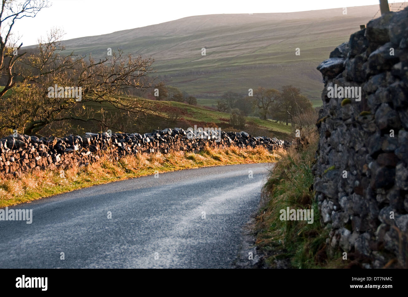 Rural road verges hi-res stock photography and images - Alamy