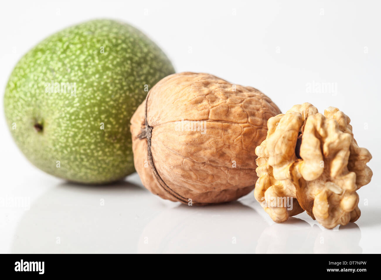 Walnut photo hi-res stock photography and images - Alamy