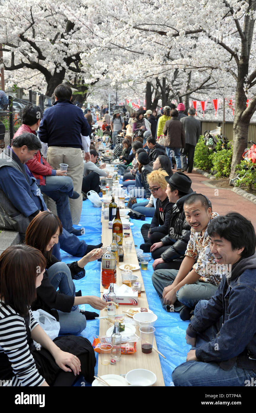 Japanese hanami High Resolution Stock Photography and Images - Alamy