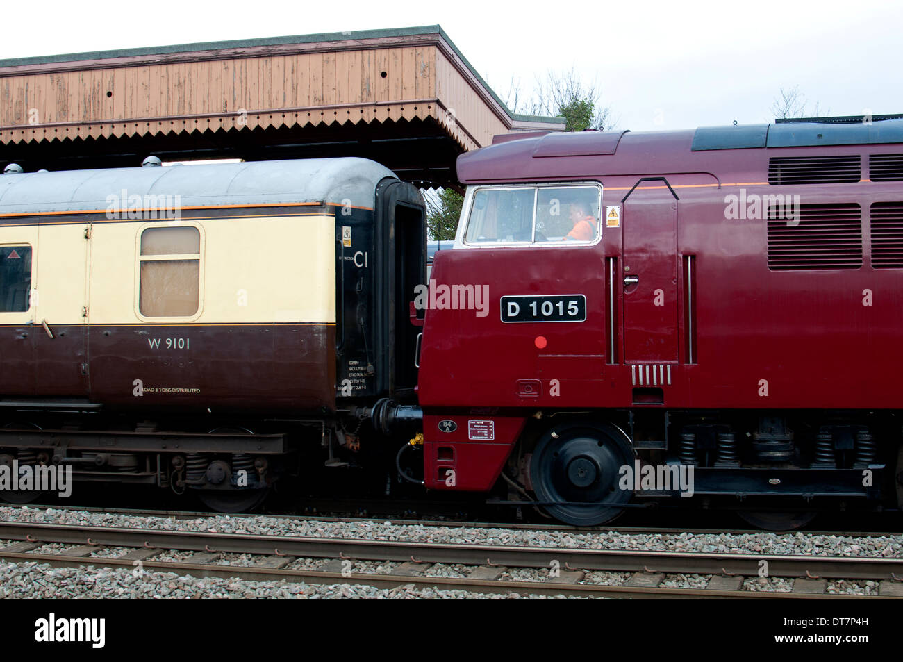 Preserved class 52 diesel locomotive No D1015 "Western Champion" at ...